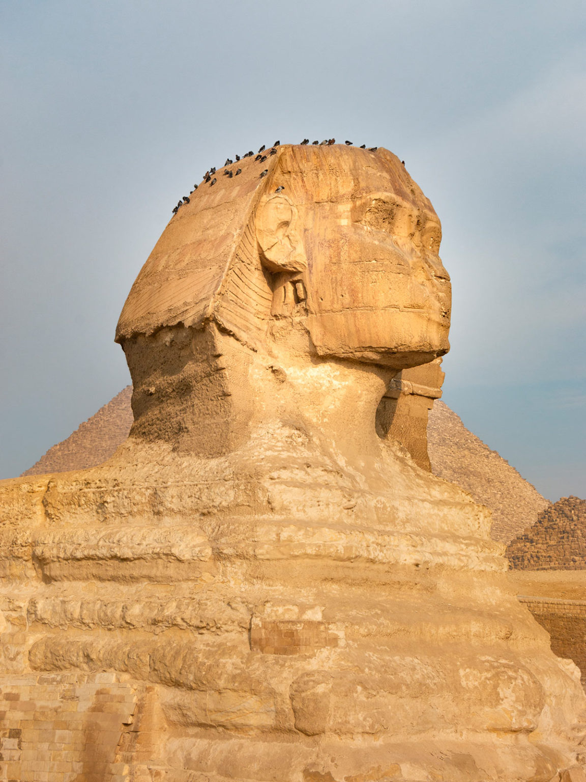 Visiter les pyramides de Gizeh, la merveille des merveilles - Monsieur ...