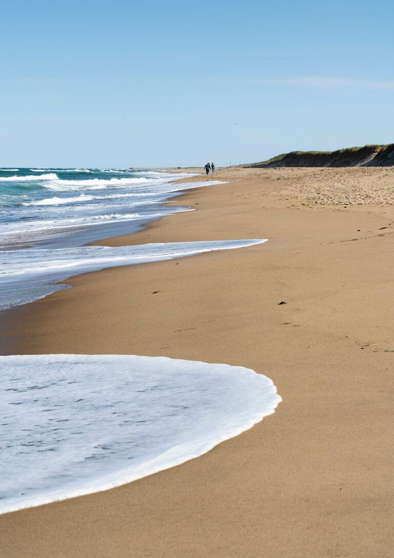 Quoi faire à Cape Cod : les incontournables
